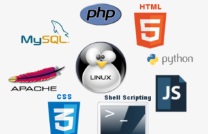 Open Source Development – CodeSchema Solutions